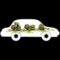 How Is A Marijuana DUI Different Than An Alcohol DUI?